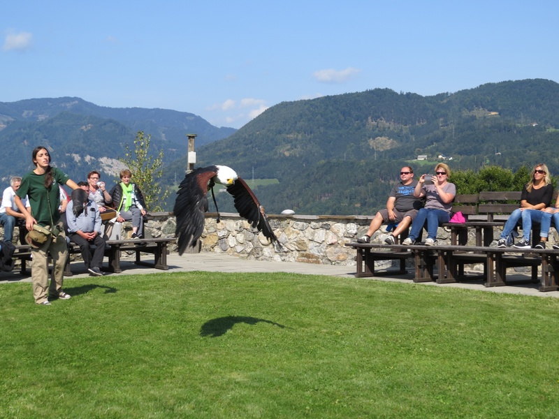 List of Okavango Delta Animals - Flora Fauna Fun