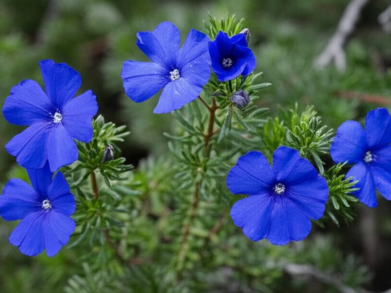 The Complete List of Beautiful Rare Plants - Flora Fauna Fun