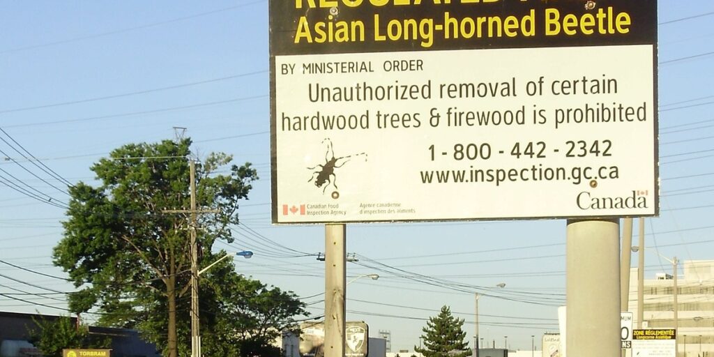 The Complete List of Invasive Species in Canada - Flora Fauna Fun