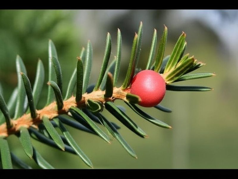 The Complete List of Guatemala's Native Plants - Flora Fauna Fun