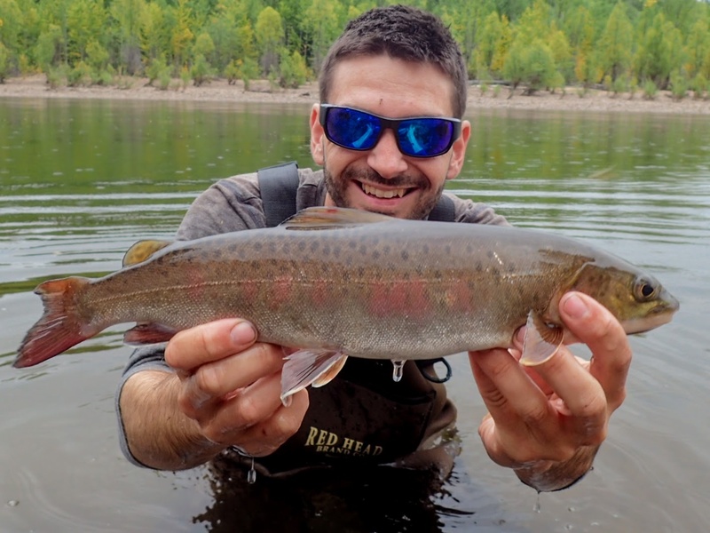 The Complete List of Fish of Russia - Flora Fauna Fun