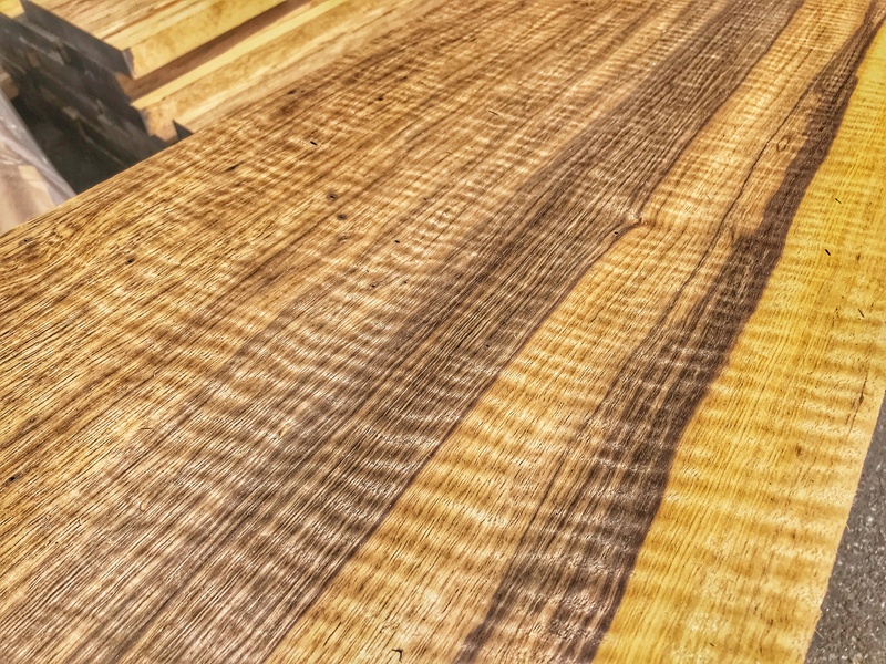 Trees of the Republic of the Congo - Flora Fauna Fun