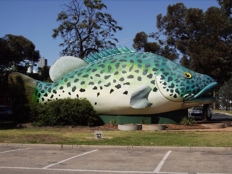 List of Fish of Australia - Flora Fauna Fun