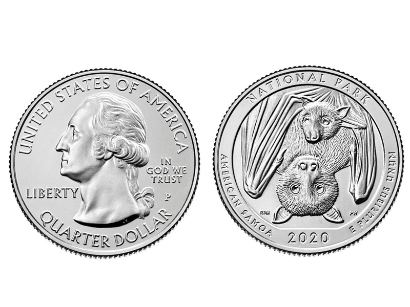 Samoa's Native Animals: The Complete List - Flora Fauna Fun