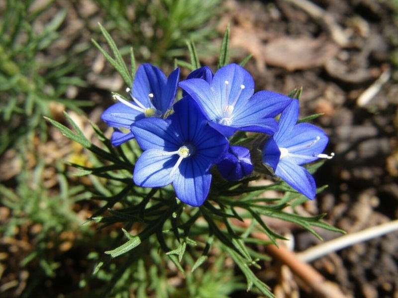 The Complete List of Rare Blue Flowers - Flora Fauna Fun