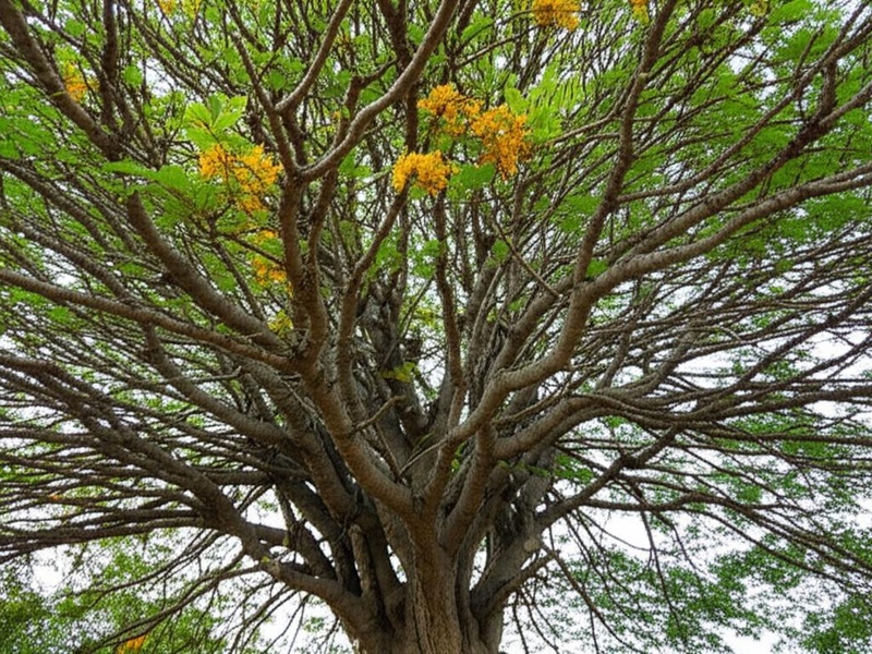 List of the Dominican Republic's Native Plants - Flora Fauna Fun