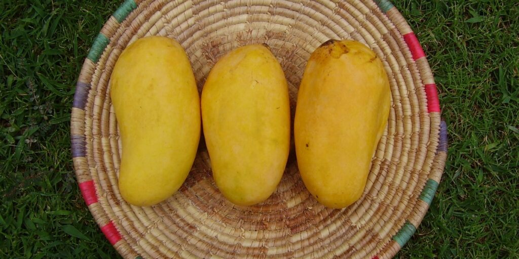 Fruits Of Pakistan: The Complete List - Flora Fauna Fun