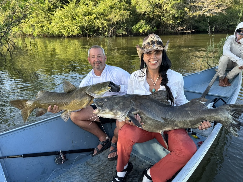 Fish of Guyana: The Complete List - Flora Fauna Fun