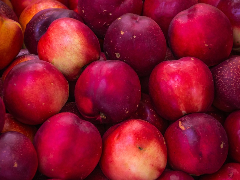 Fruits Of Chile: The Complete List - Flora Fauna Fun