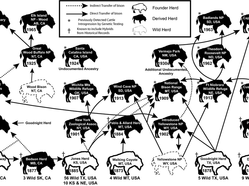 The Complete List of Endangered Prairie Animals - Flora Fauna Fun