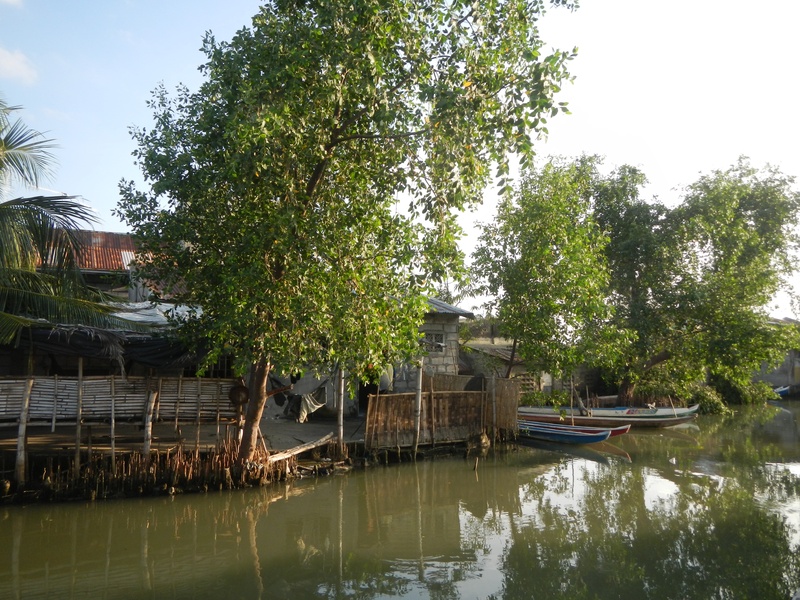 List of Trees of Malaysia - Flora Fauna Fun