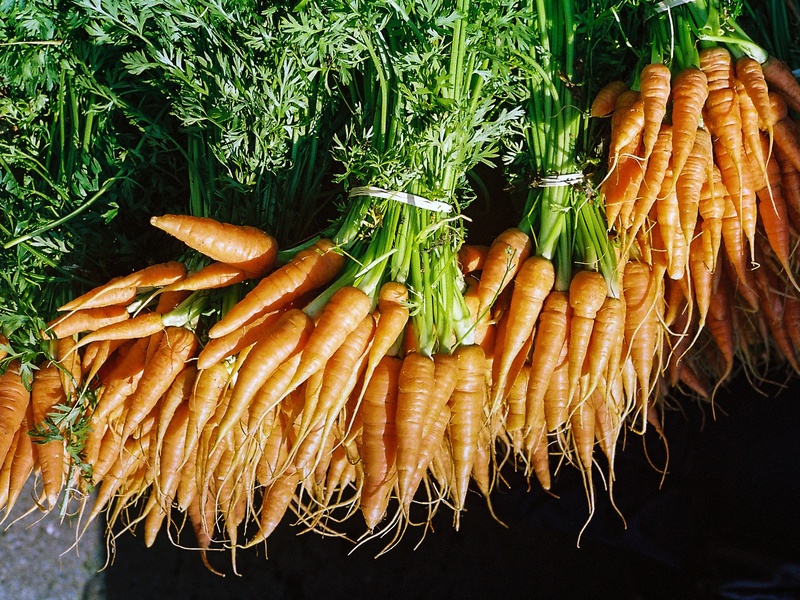 Vegetable Examples: The Complete List - Flora Fauna Fun