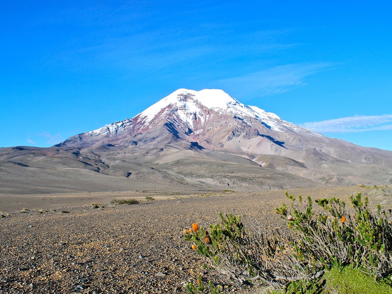 Flowers of Ecuador: The Complete List - Flora Fauna Fun