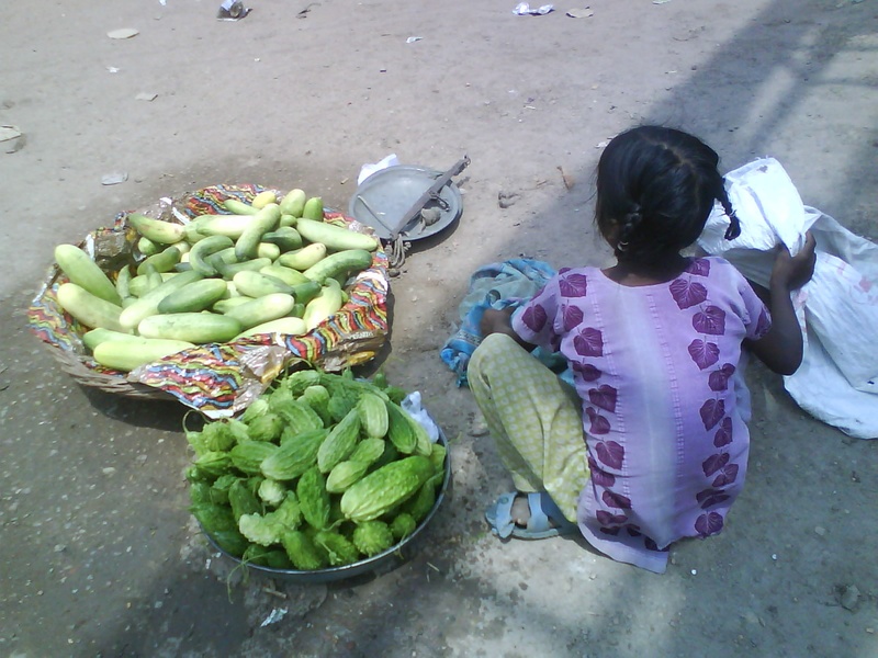 List of Huge Vegetables - Flora Fauna Fun