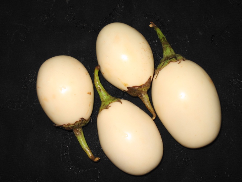 Vegetable Examples: The Complete List - Flora Fauna Fun