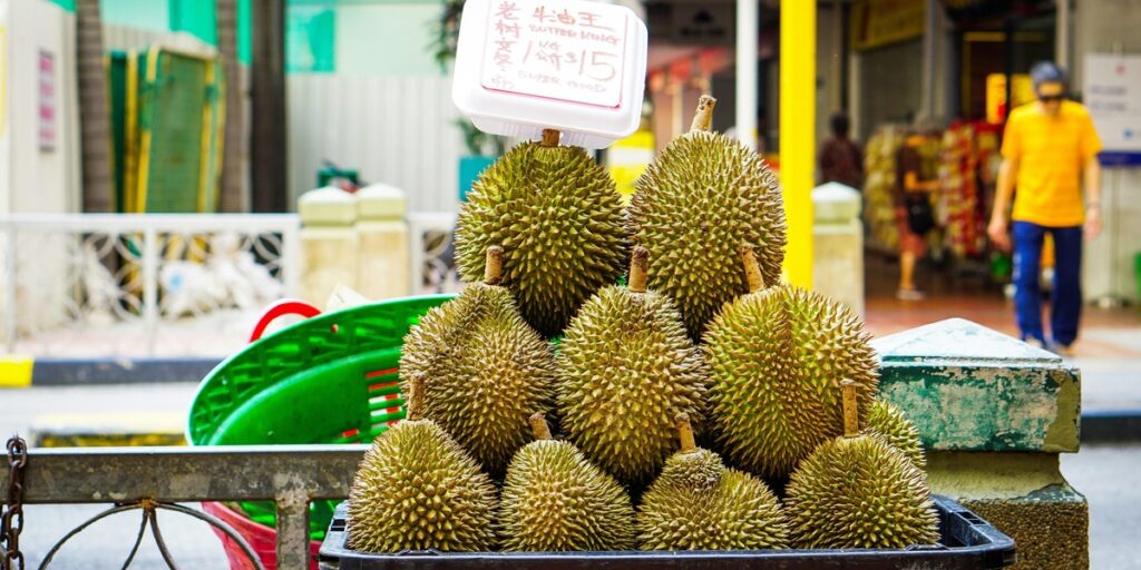 The Complete List of Rainforest Fruits - Flora Fauna Fun