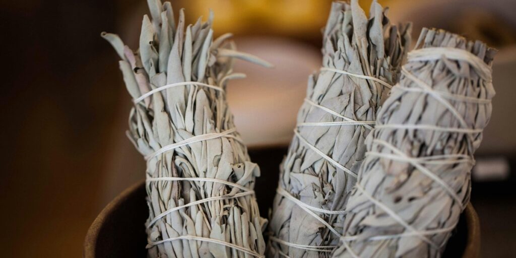 White Herbs: The Complete List - Flora Fauna Fun