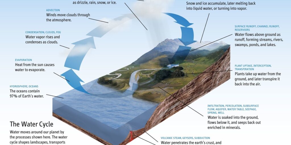 8 Facts About the Water Cycle - Flora Fauna Fun