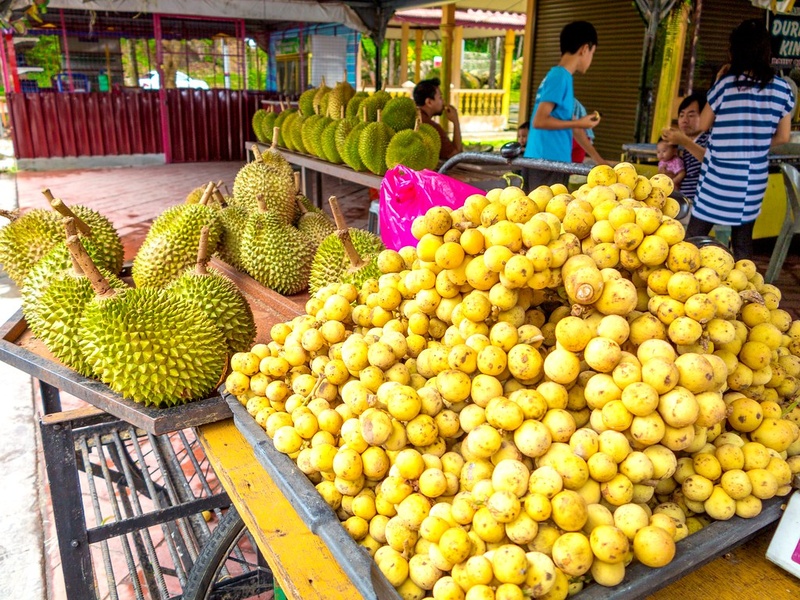 Fruits of Singapore: The Complete List - Flora Fauna Fun