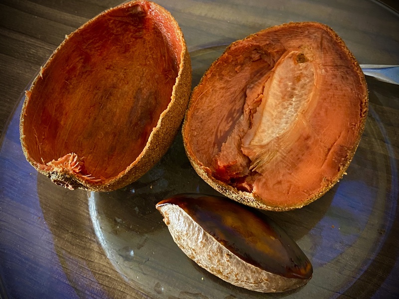 The Complete List of Rainforest Fruits - Flora Fauna Fun