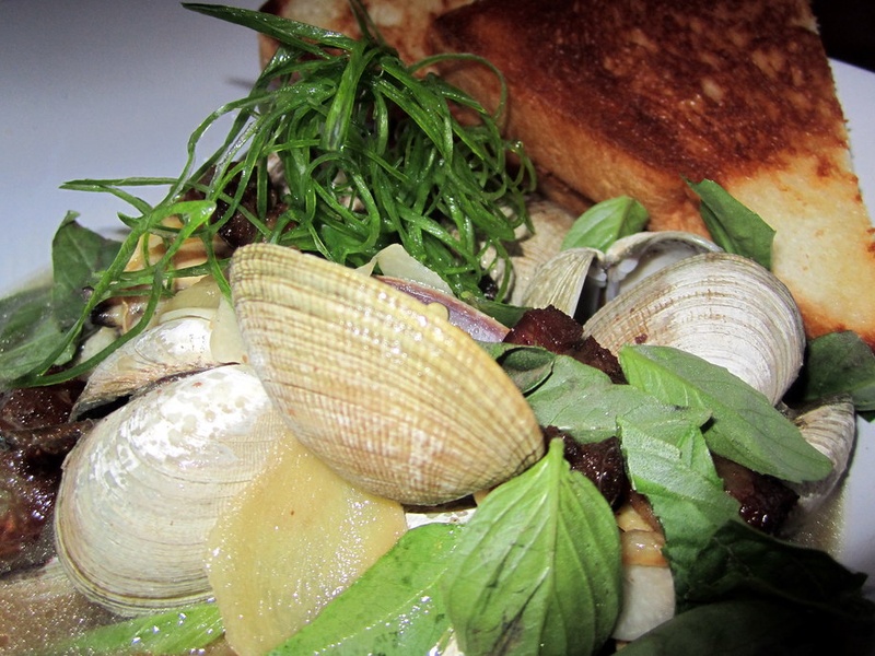 Bivalve Examples: The Complete List - Flora Fauna Fun