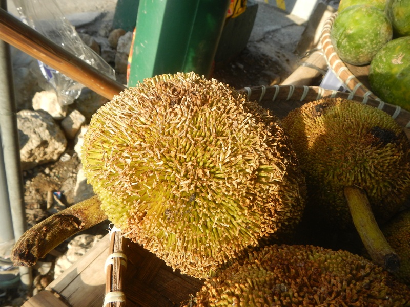 The Complete List of Rainforest Fruits - Flora Fauna Fun