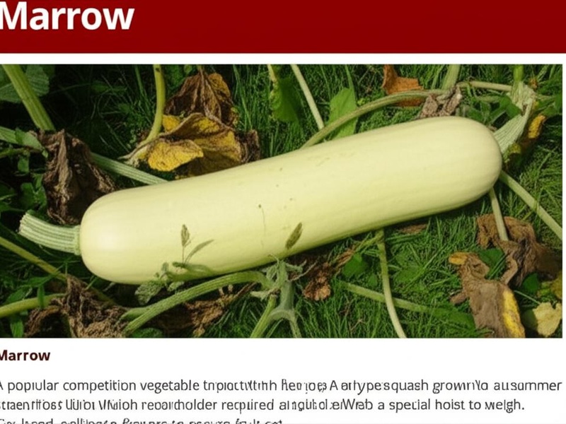 List of Huge Vegetables - Flora Fauna Fun