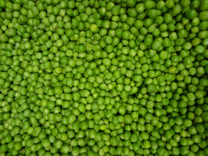 Vegetable Examples: The Complete List - Flora Fauna Fun