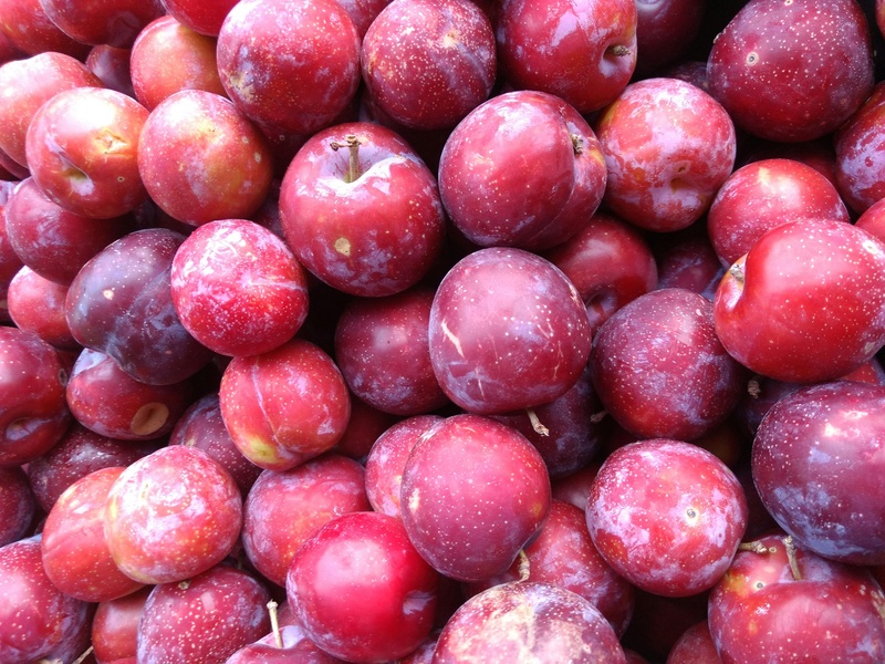 Fruits of Italy: The Complete List - Flora Fauna Fun
