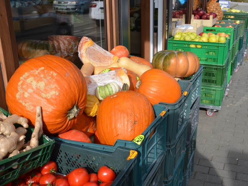 Vegetable Examples: The Complete List - Flora Fauna Fun
