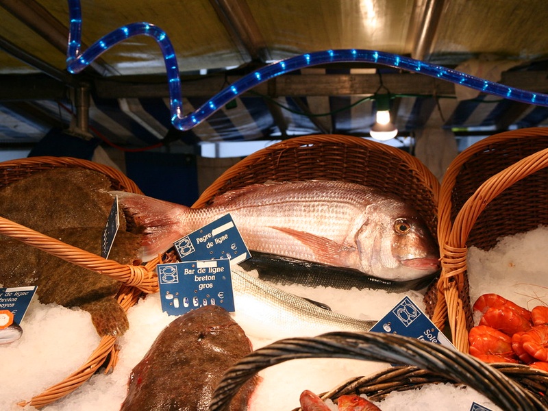 Fish of Spain: The Complete List - Flora Fauna Fun