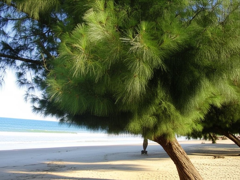List of Trees of Malaysia - Flora Fauna Fun