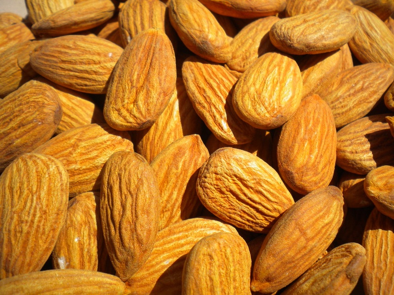 List of Plants Of Pakistan - Flora Fauna Fun