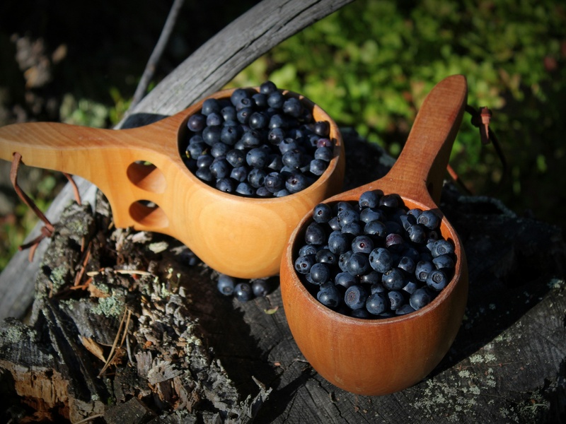 Austria's Native Plants: The Complete List - Flora Fauna Fun