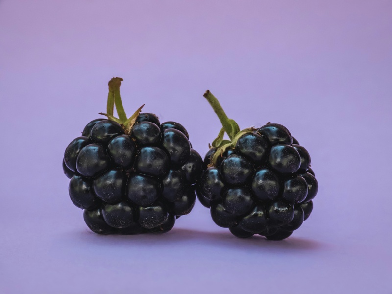 The Complete List of Fruits of Ireland - Flora Fauna Fun