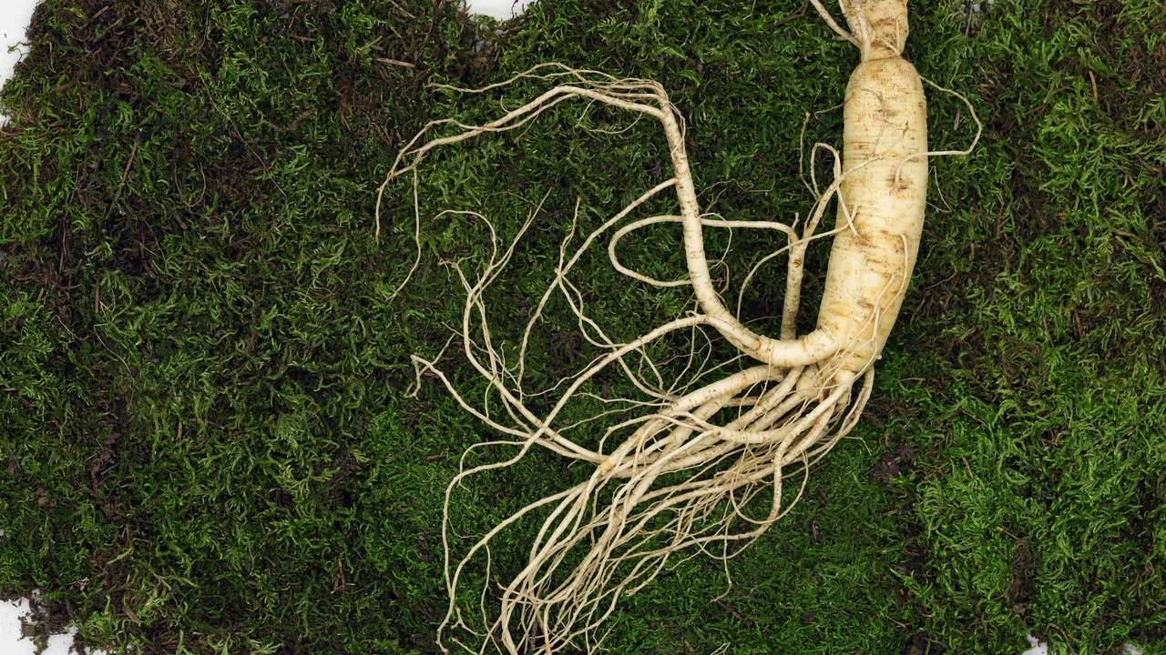 7 Differences Between Root Vegetables and Tubers - Flora Fauna Fun