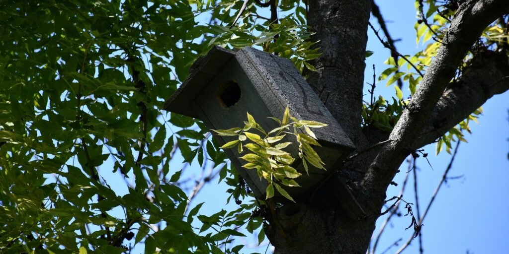 8 Reasons to Create Wildlife Habitats - Flora Fauna Fun