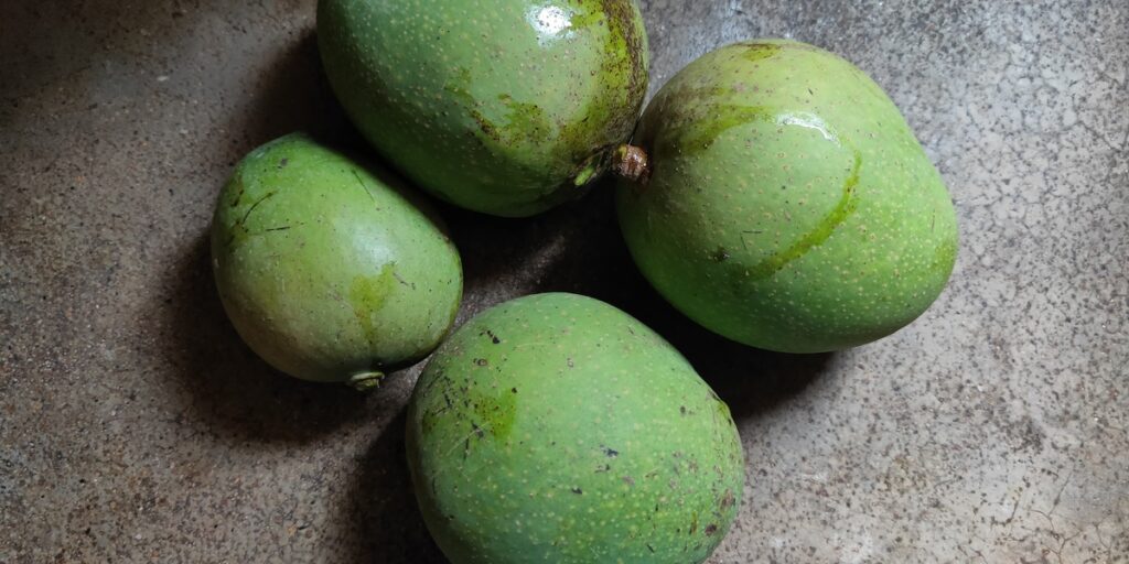 The Complete List of Fruits of Colombia - Flora Fauna Fun