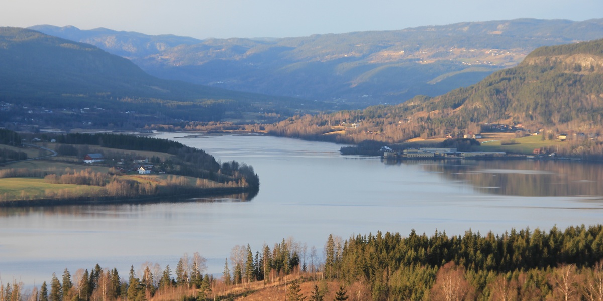 Taiga Mammals: The Complete List - Flora Fauna Fun