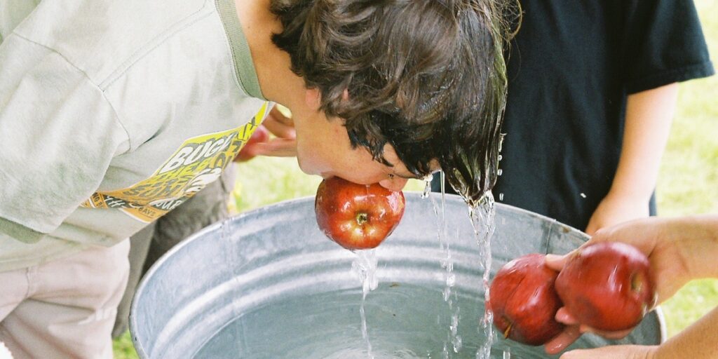 The Complete List of Fruits of Ireland - Flora Fauna Fun