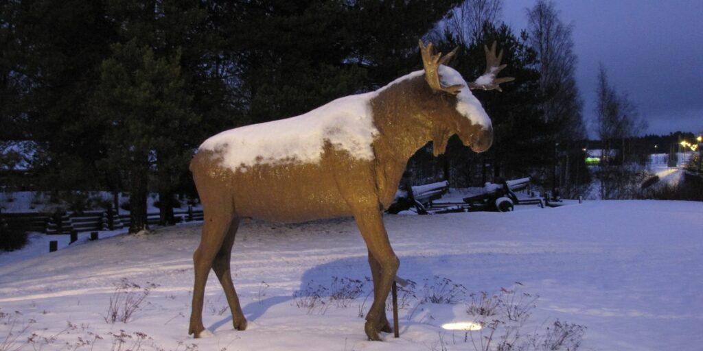 List of Animals of Finland - Flora Fauna Fun
