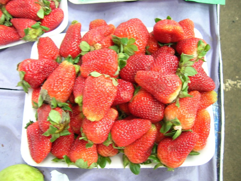 The Complete List of Fruits of Colombia - Flora Fauna Fun