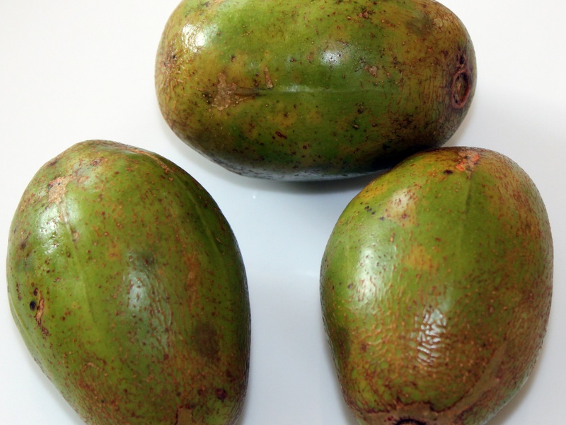 Fruits of Mauritius: The Complete List - Flora Fauna Fun
