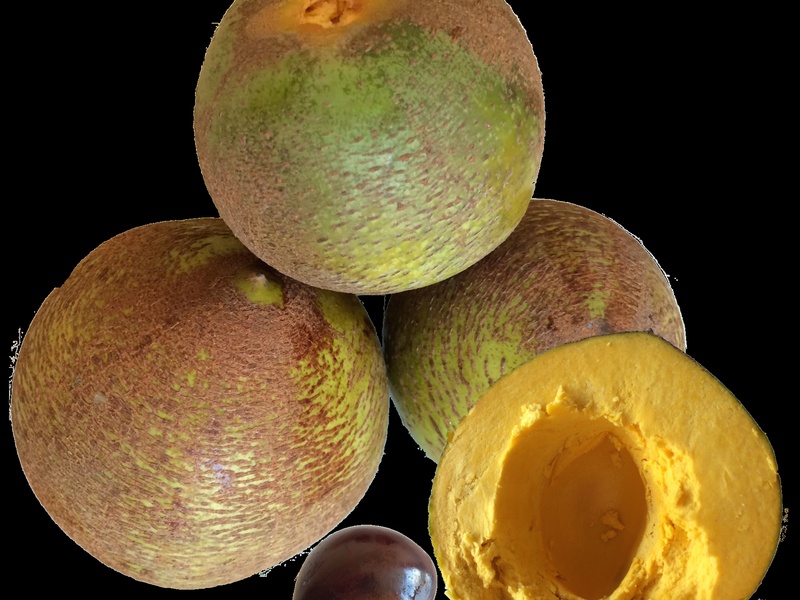 The Complete List of Fruits of Colombia - Flora Fauna Fun