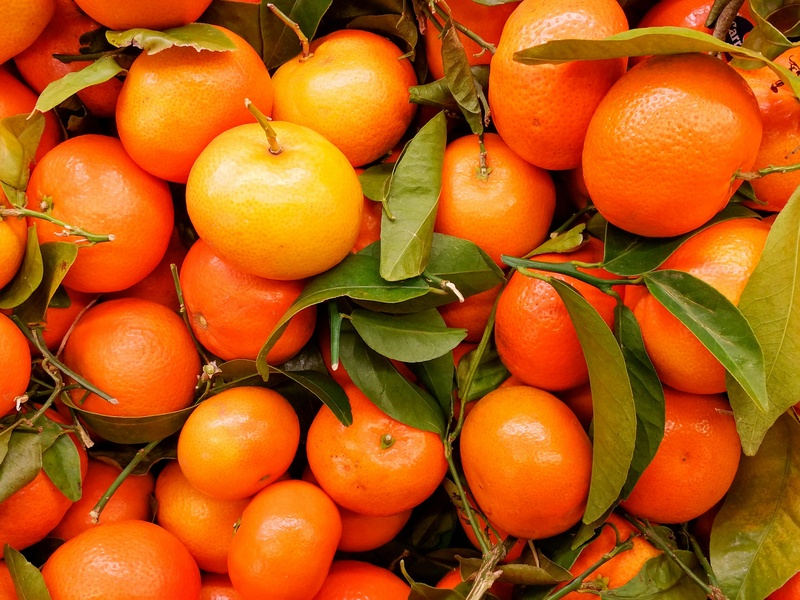 The Complete List of Fruits of Colombia - Flora Fauna Fun
