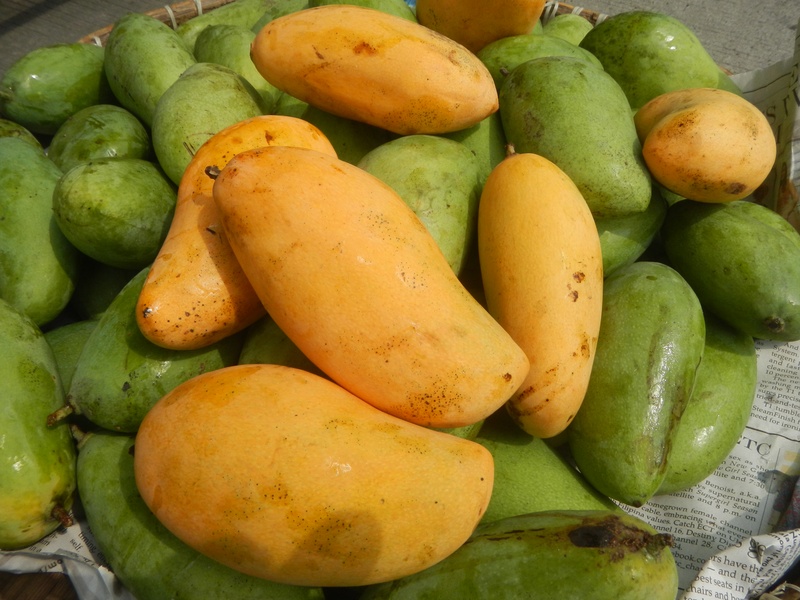 List of Philippine Native Plants - Flora Fauna Fun