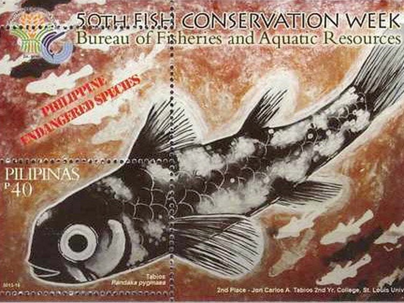 The Complete List of Smallest Fish - Flora Fauna Fun