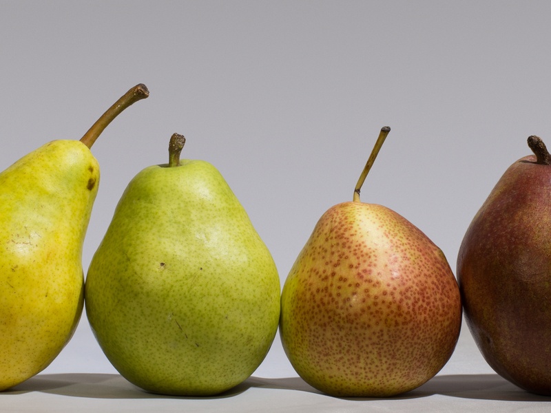 List of Fruits of Andorra - Flora Fauna Fun