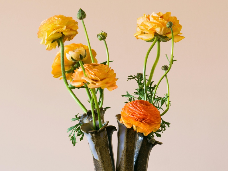 List of Flowers of Egypt - Flora Fauna Fun
