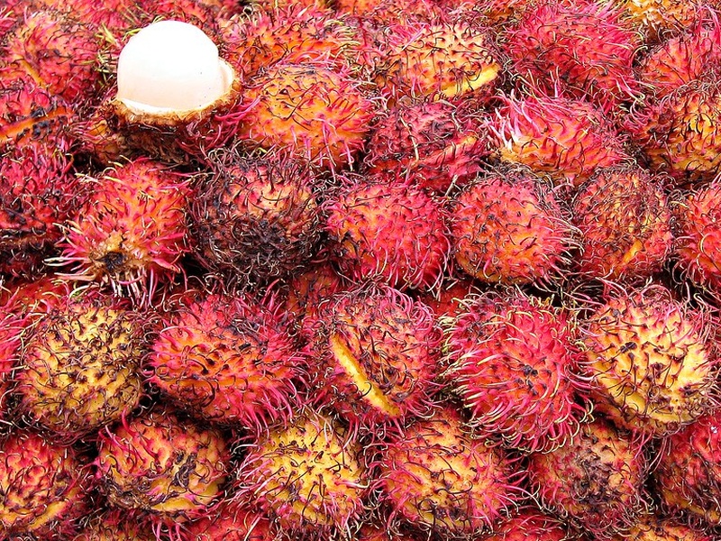The Complete List of Fruits of Samoa - Flora Fauna Fun